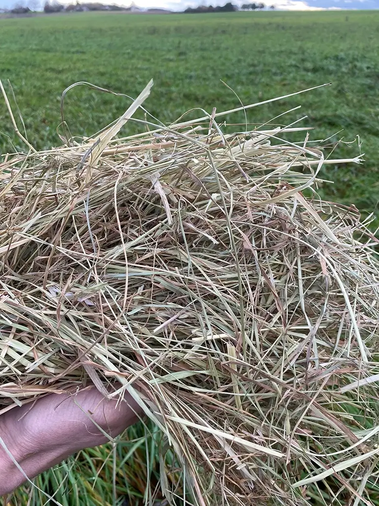 Vente de Foin de Prairie et Graminées | EARL DU PARC